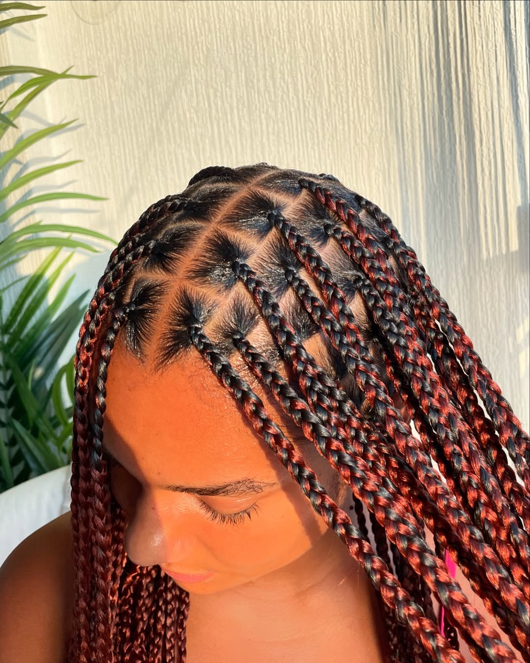 Winter Braids for Black Women 2025–2026: Chic protective styles, color ...