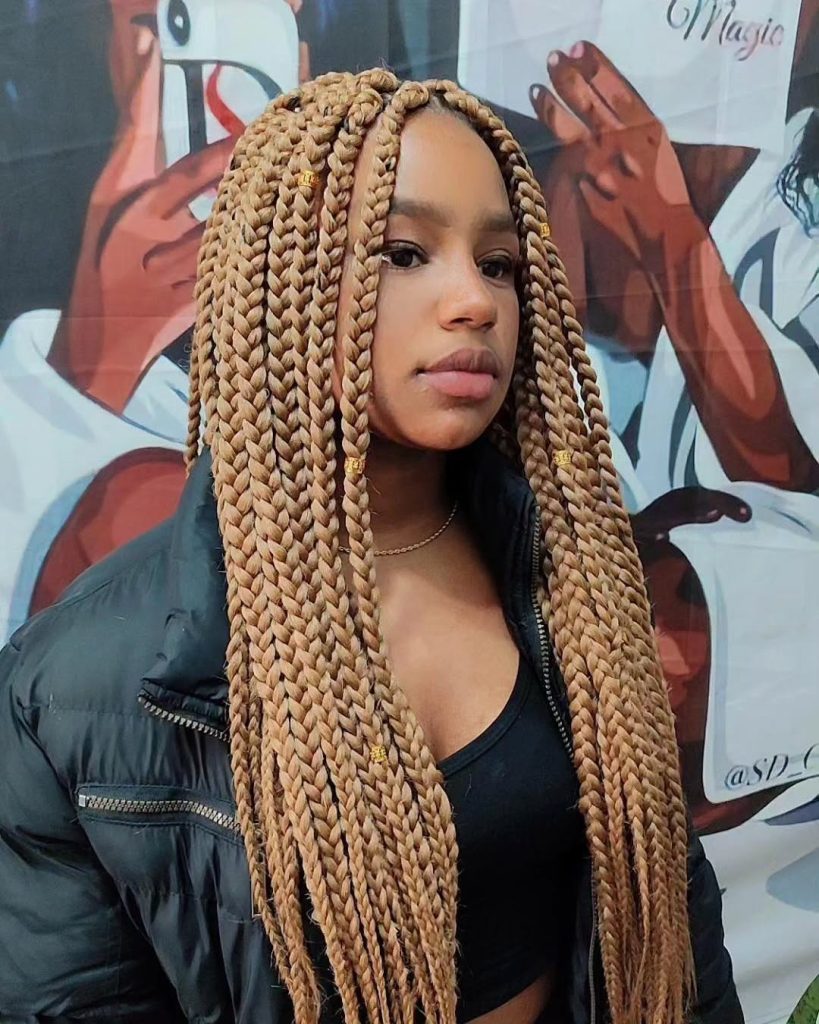 Box Braids Hairstyles 2026: Trendy Long, Medium & Knotless Braided ...