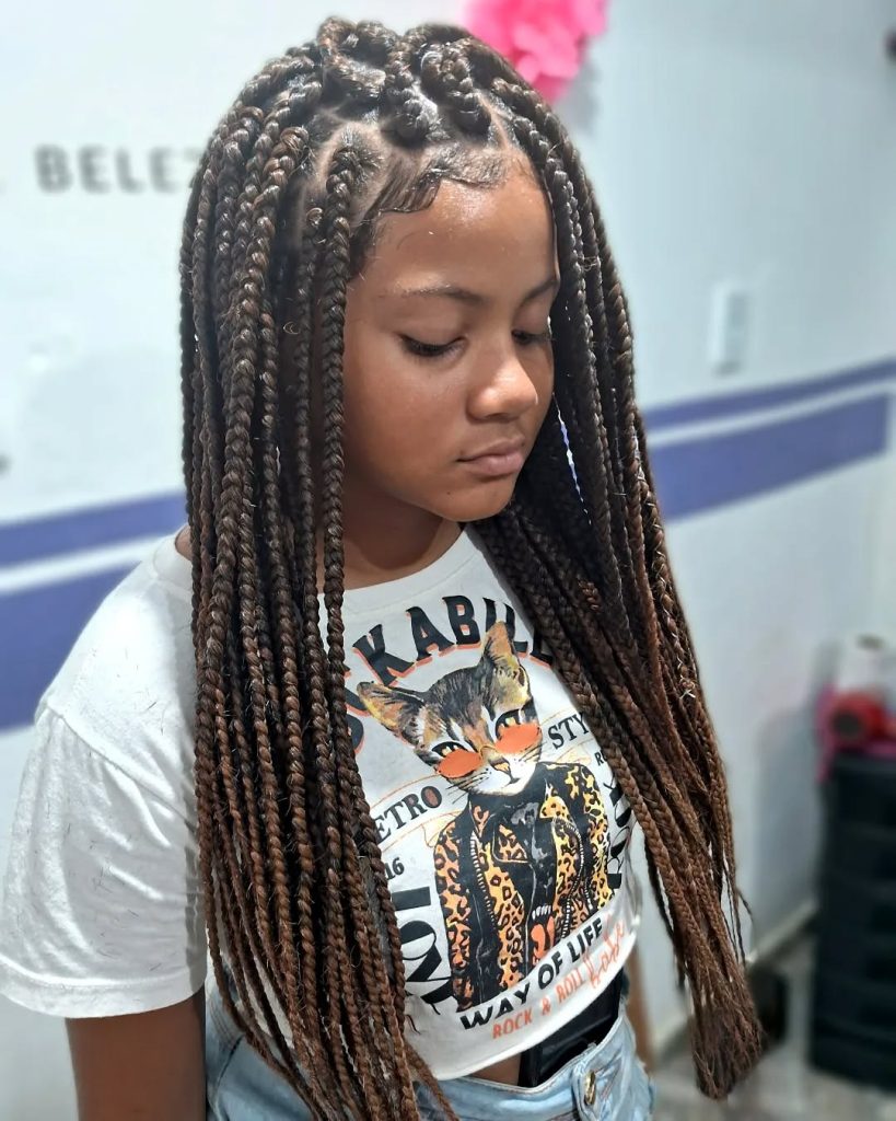 Box Braids Hairstyles 2026: Trendy Long, Medium & Knotless Braided ...