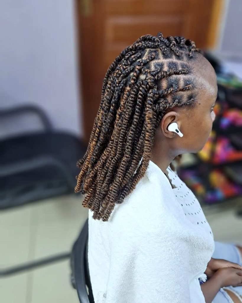 Spring Twist Hairstyles Ideas 2026 – Trendy Protective Twist Styles for ...